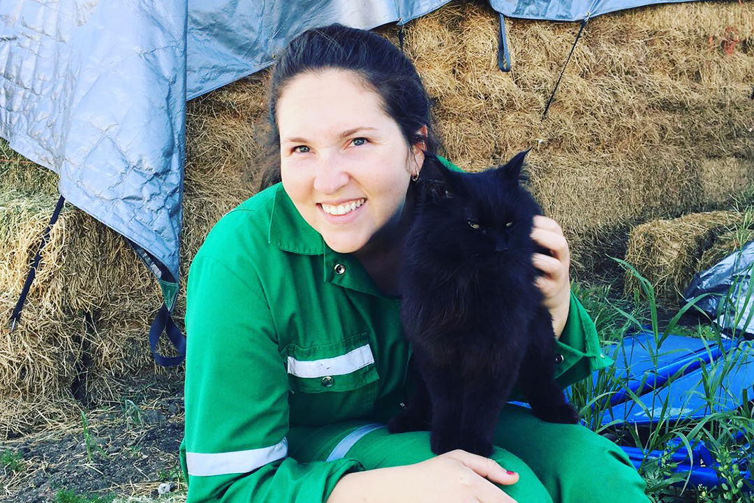 What I learned during my summer research - WCVM Today - Western College ...