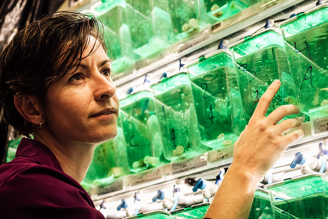 USask ecologist receives prestigious Steacie Fellowship - WCVM Today ...