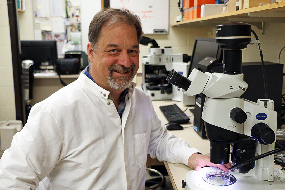 Panel updates guidelines for managing parasites in pets - WCVM Today ...
