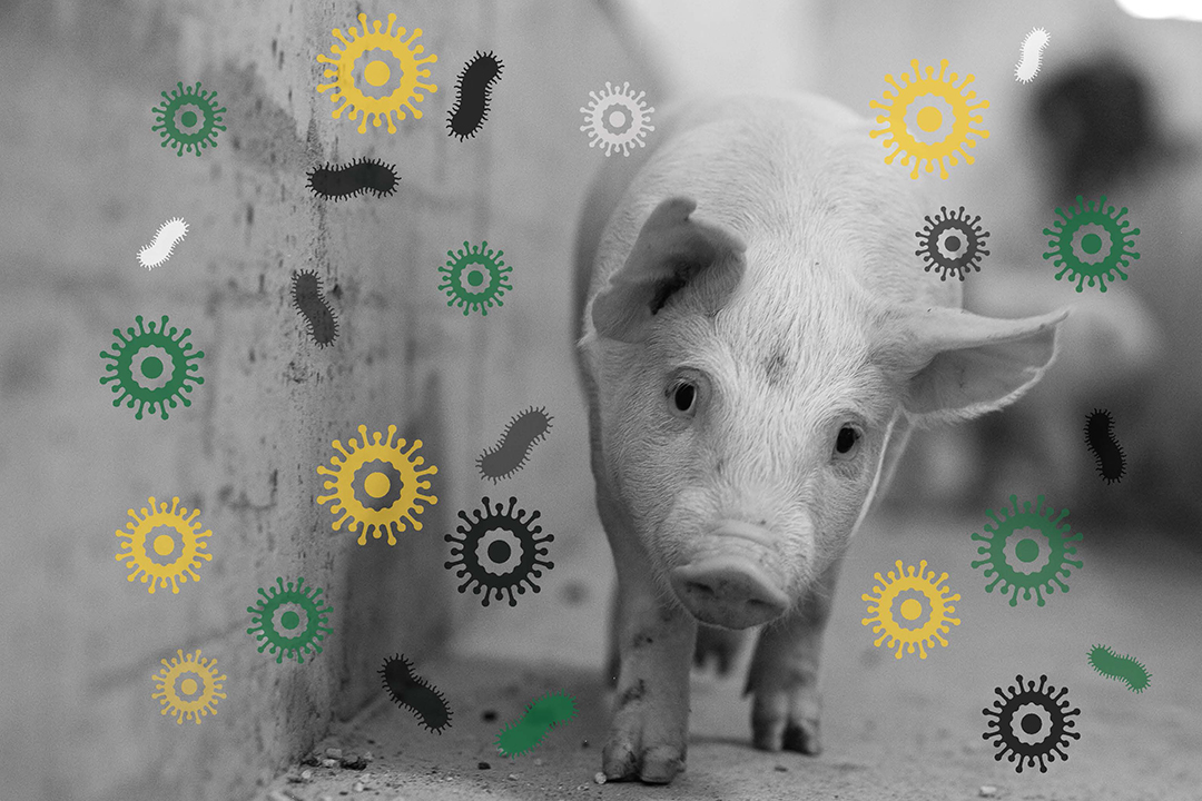 How much is enough? Public knowledge and the microbial world - WCVM ...